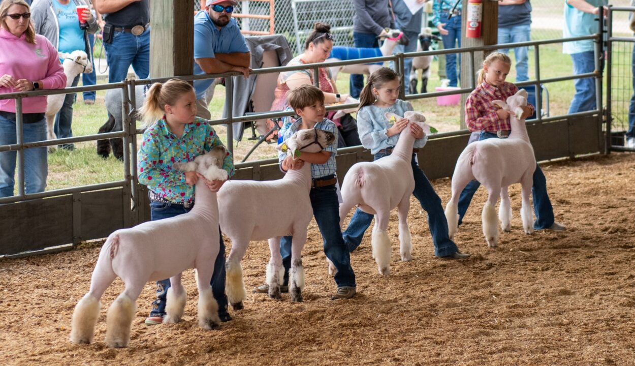 Wayne Regional Agricultural Fair – North Carolina